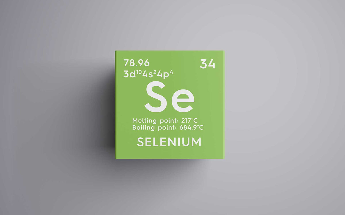 Unlocking the Power of Selenium: Why It's Essential for Thyroid Health ...